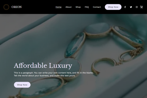 Make a Website with Orion Store Template | Website.com