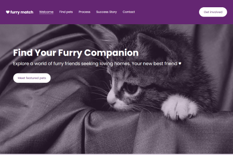 Make a Website with Furry Match Template | Website.com